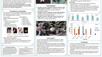 Undergraduate Research Center - UC Davis Academic Posters